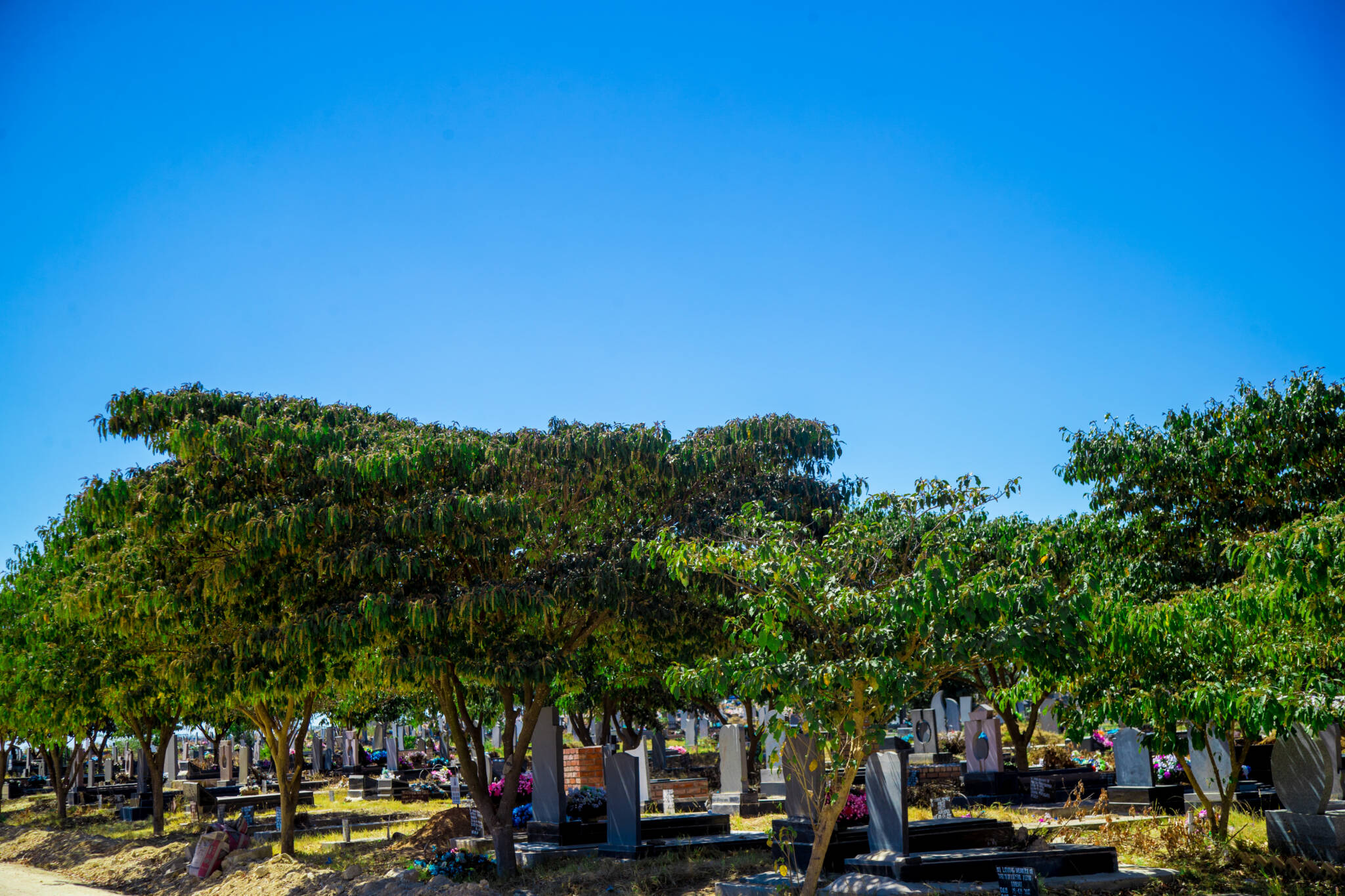 Zororo Memorial Park – A Place of Eternal Rest and Lasting Comfort